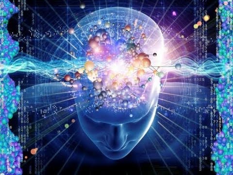 The Elevated Mind - Lam Tang Kung Fu Academy